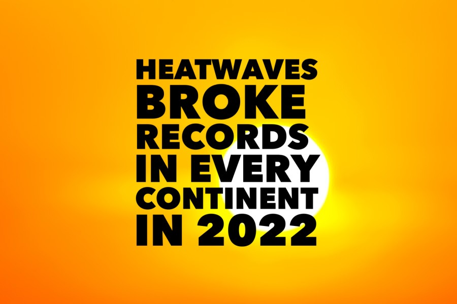 video-how-hot-can-it-get-save-our-woodlands