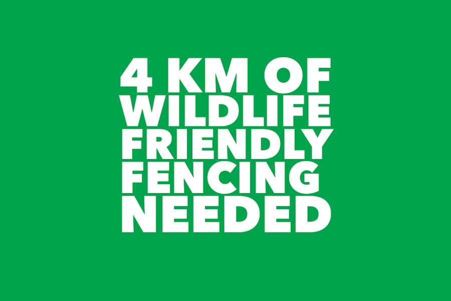 WILDLIFE FRIENDLY FENCING NEEDED - Save Our Woodlands